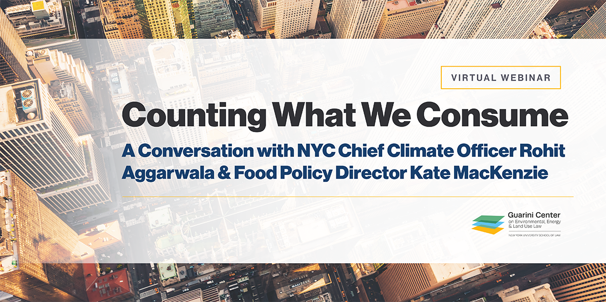 Counting What We Consume: A Conversation with NYC Chief Climate Officer ...