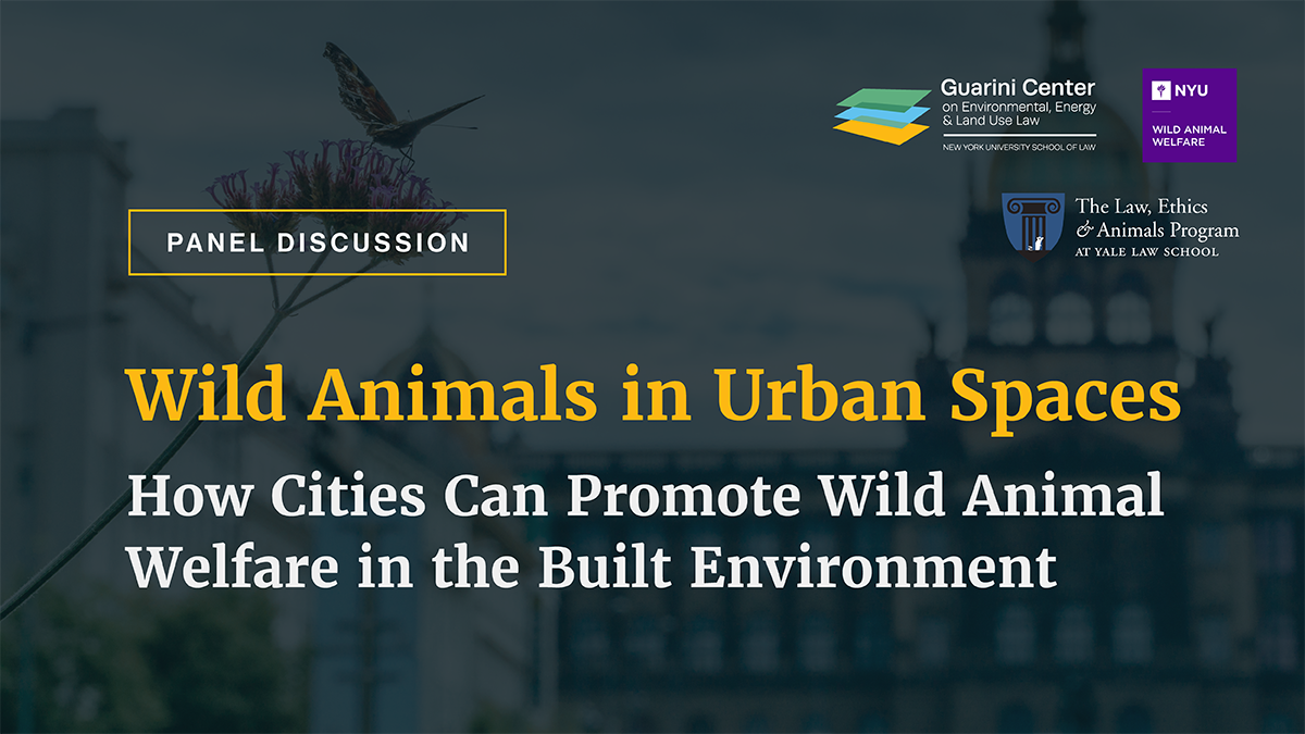 Wild Animals in Urban Spaces: How Cities Can Promote Wild Animal ...